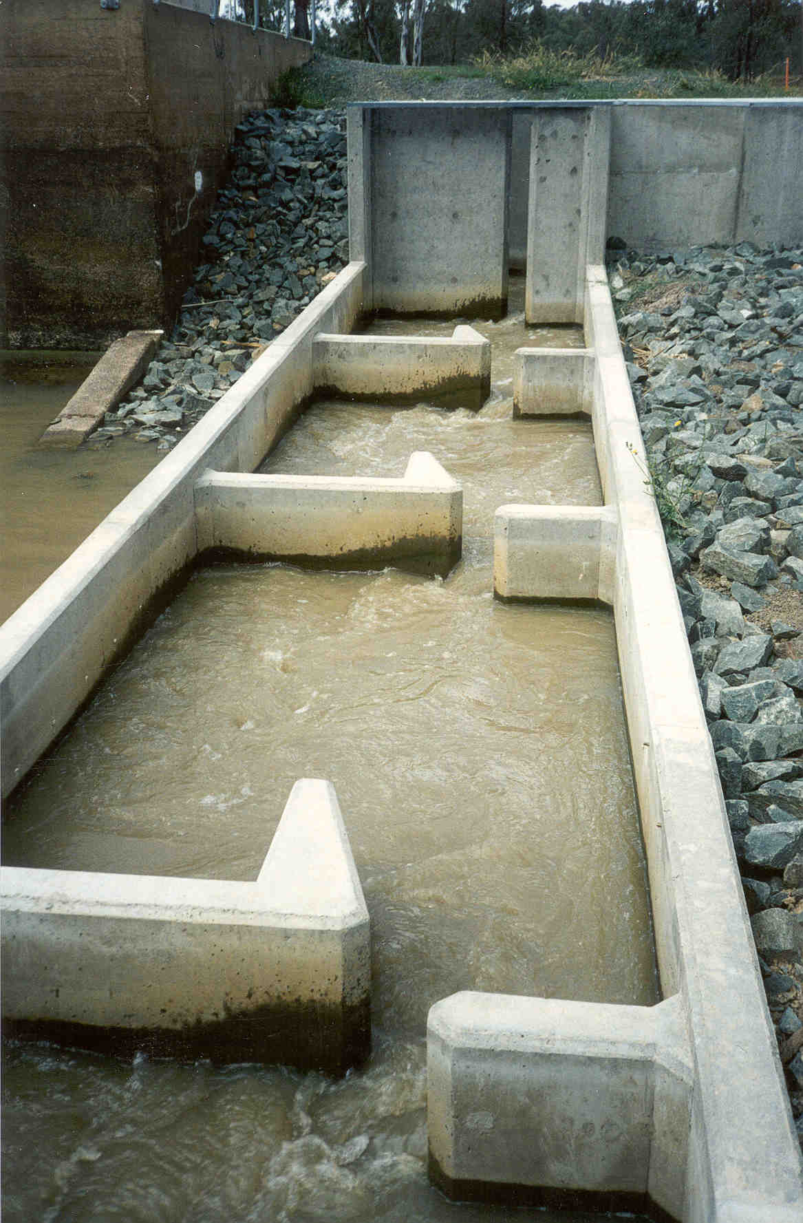 Investigating innovations in vertical slot fishway design | EMR Project ...