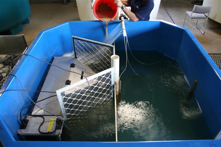 Assessment of an infrared fish counter (Vaki Riverwatcher) to quantify ...