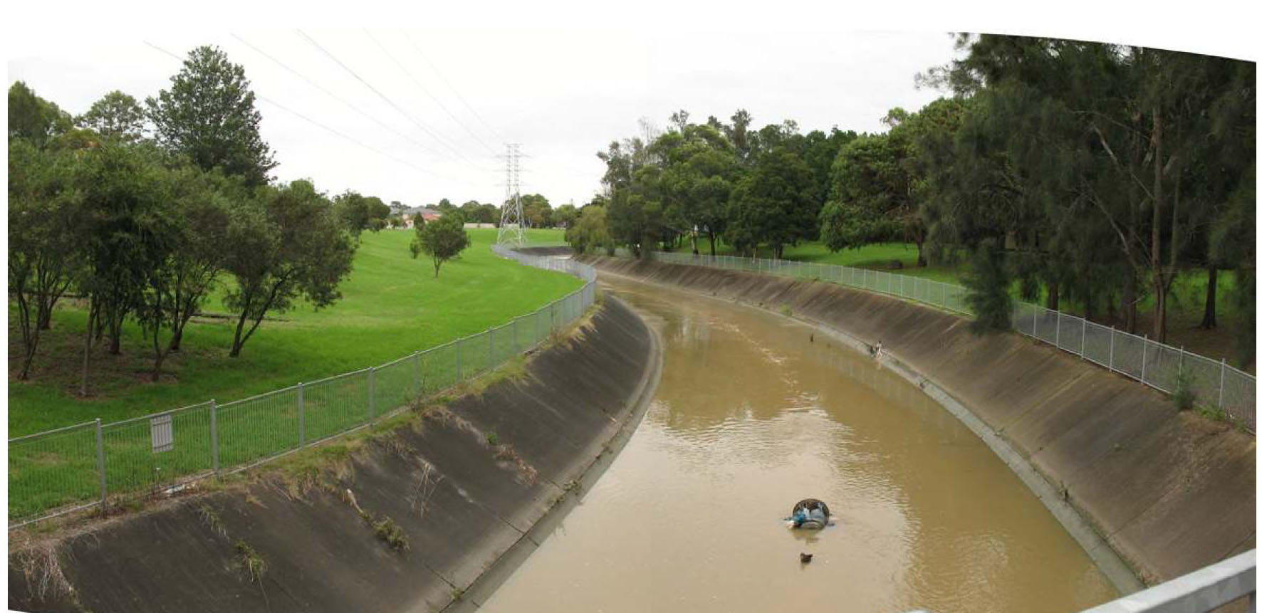 Cooks River Naturalisation, Sydney, NSW Australia | EMR Project Summaries