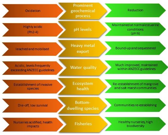 East Trinity remediation and rehabilitation after Acid Sulfate Soil ...