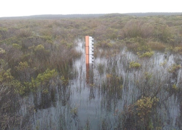 Long Swamp, Discovery Bay Coastal Park, Victoria | EMR Project Summaries