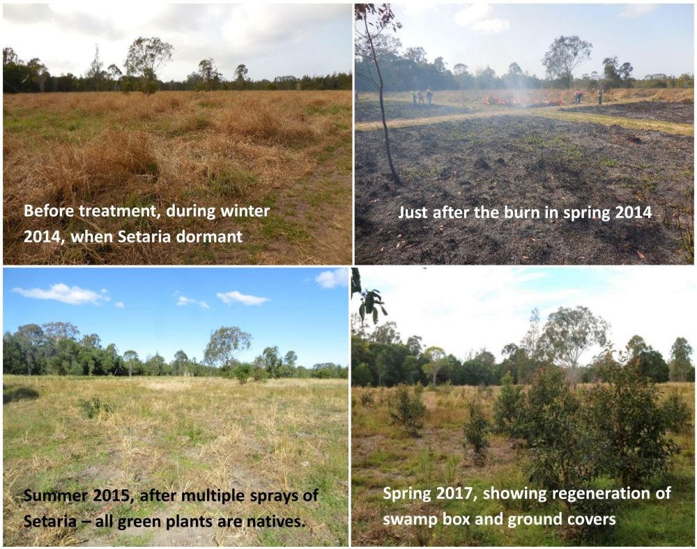 Summaries | EMR Project Summaries | Published as part of the journal ...