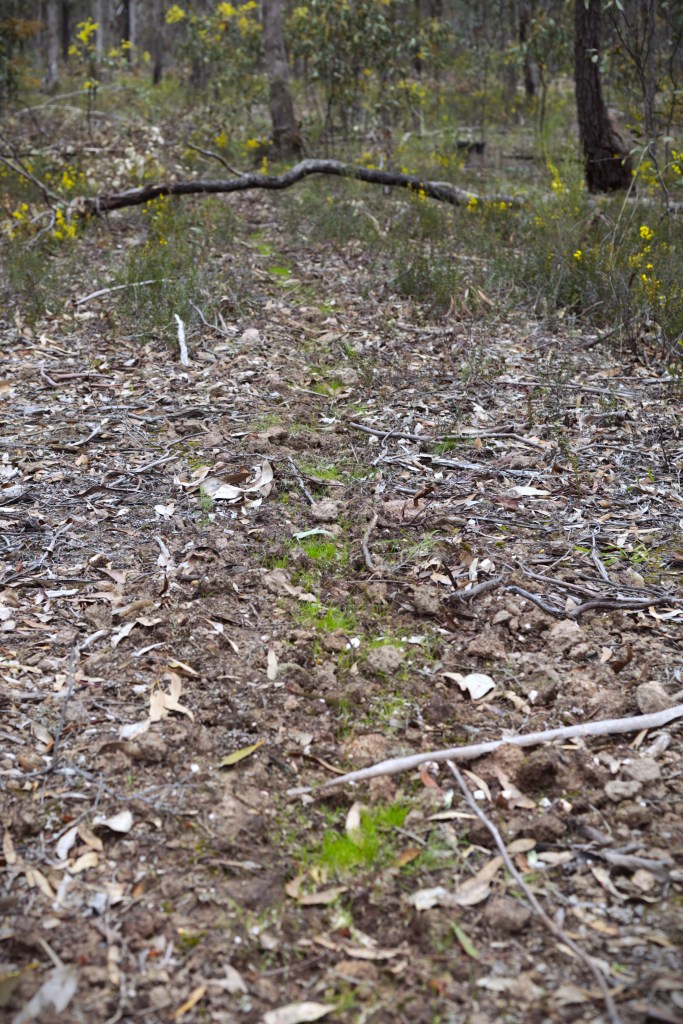 Summaries | EMR Project Summaries | Published as part of the journal ...